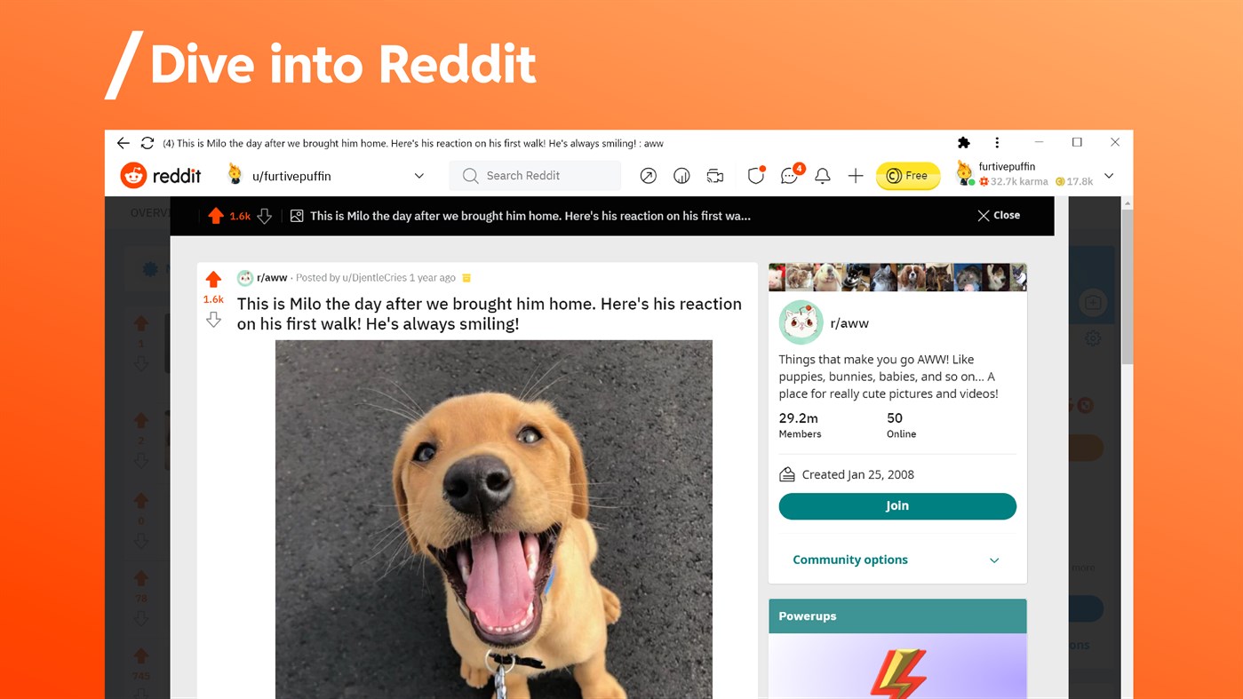 Download app Reddit per Windows 10 e Windows 11