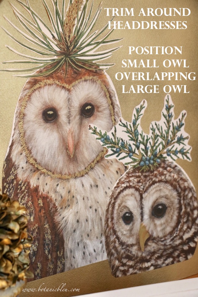 Botanic Bleu: French Country Fall Owls