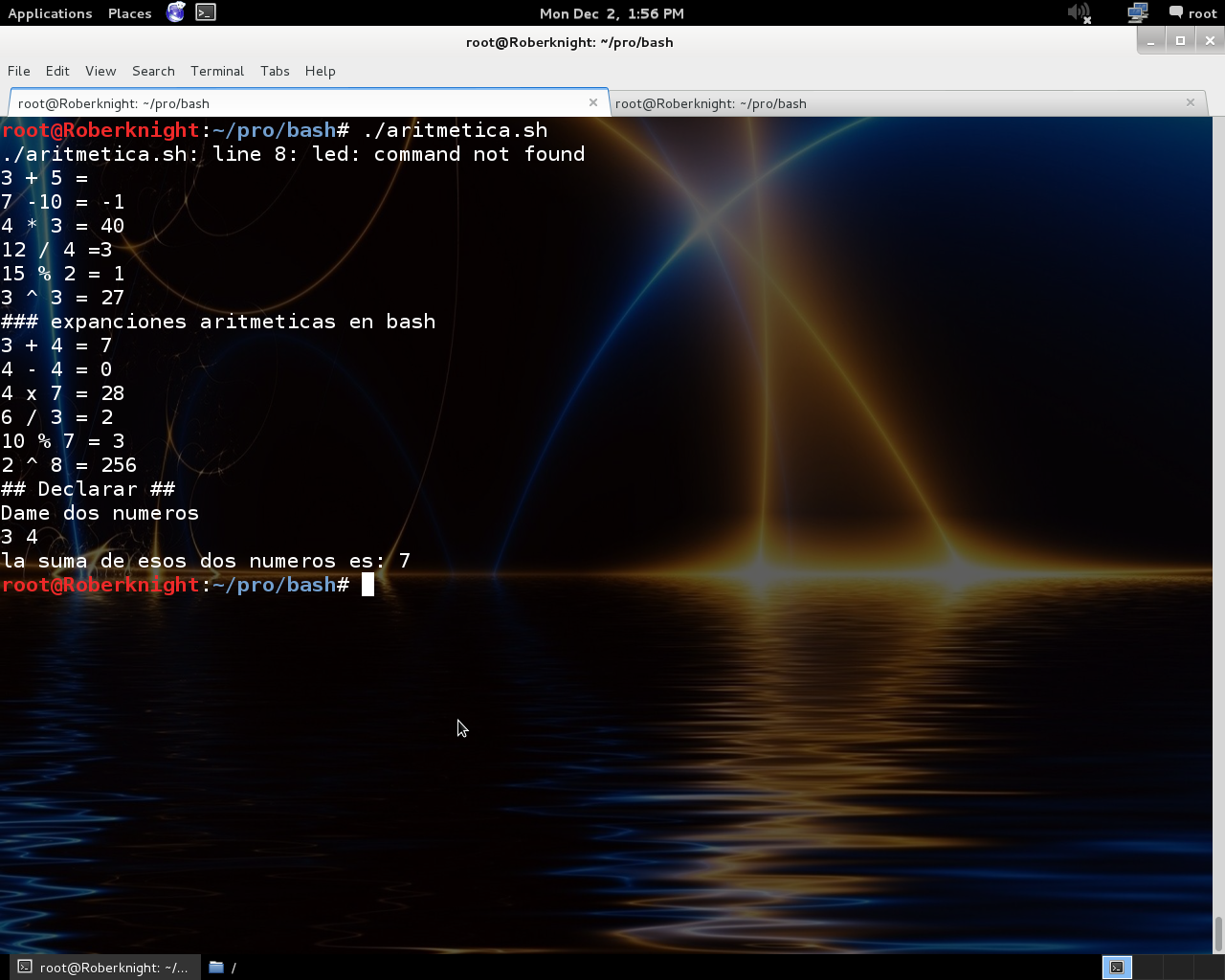 Hacking y pentesting en español: Programacion de scripts con bash