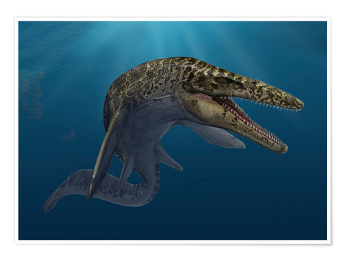 Más que dinosaurios: la fauna del Mar de Tethys