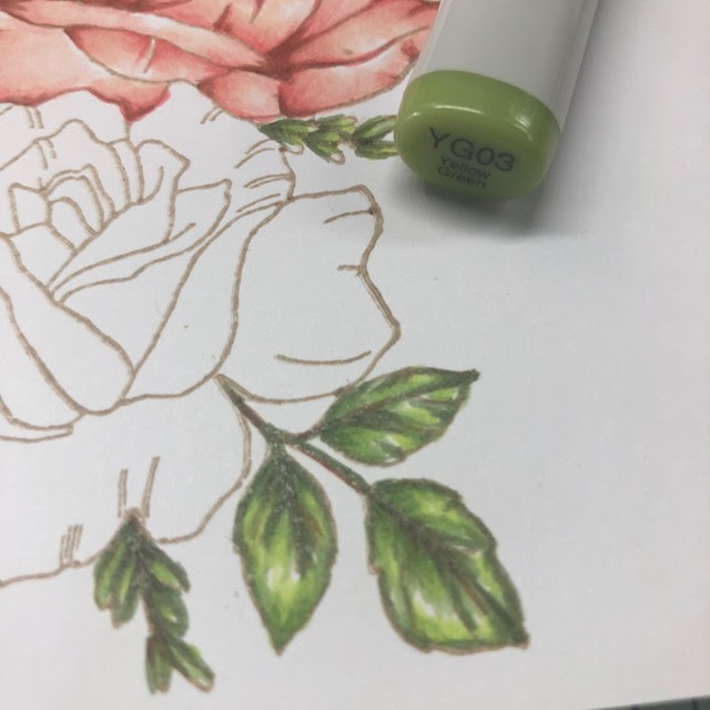 Colourstock: Beautiful vintage roses with Copics- ProColour - PanPastel