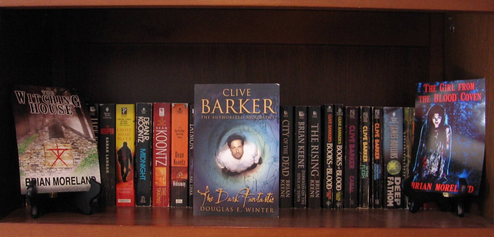 Dark Lucidity: What's on My Horror Bookshelves