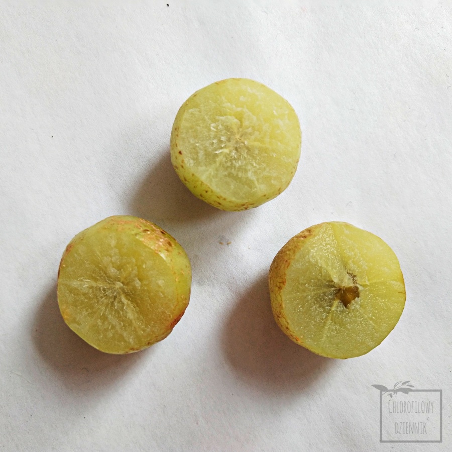 Indyjski agrest - owoce amla