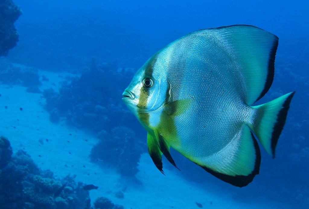 Natureza, Perfeição sem tamanho...