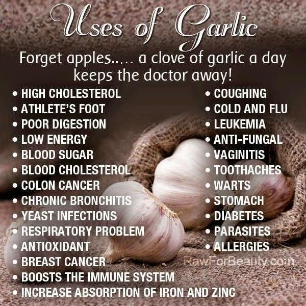 Live Healthy Live Longer: Garlic One Of The Most Effective Nutritional ...