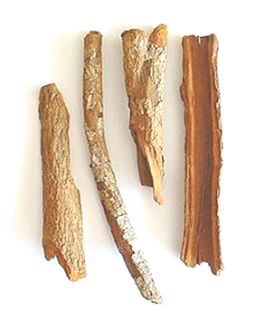 Morphology, histology & extraction & detection of Cinchona