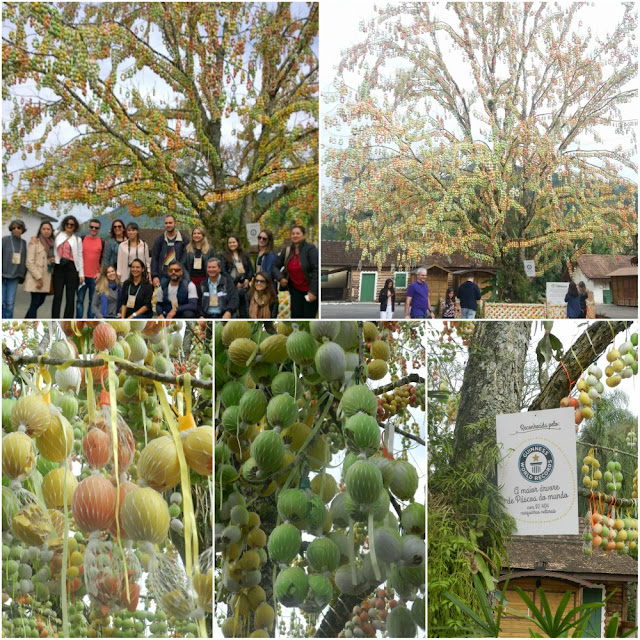 Tá indo pra onde?: Roteiro para uma manhã em Pomerode (SC)