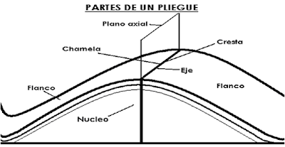 MUNDO BIOLÓGICO: Elementos de un pliegue