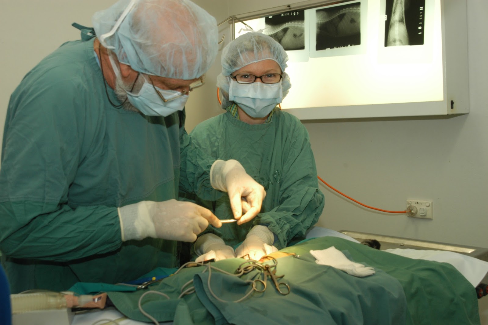 Small Animal Talk: 2013-07-14