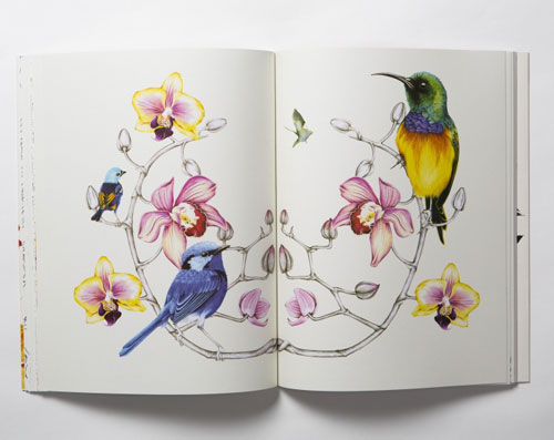 My Owl Barn: Birdtopia: Coloring Book by Daisy Fletcher