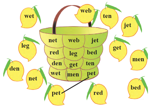 STD- 2 , Sub- English ,2.5 Word Basket