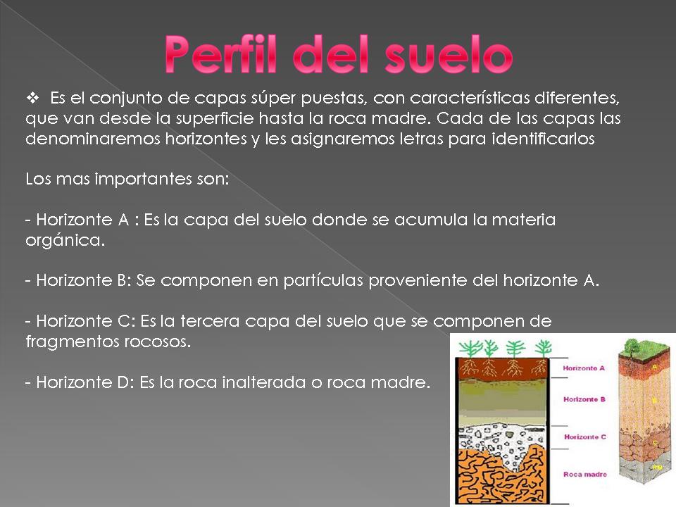 El suelo y sus tipos..