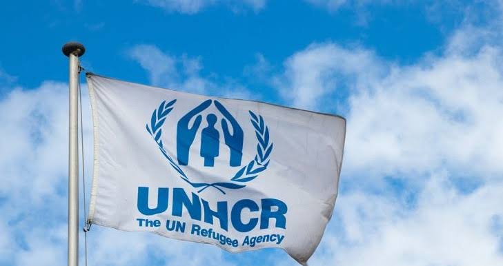 Apa sih UNHCR itu? | Belajar Sampai Mati