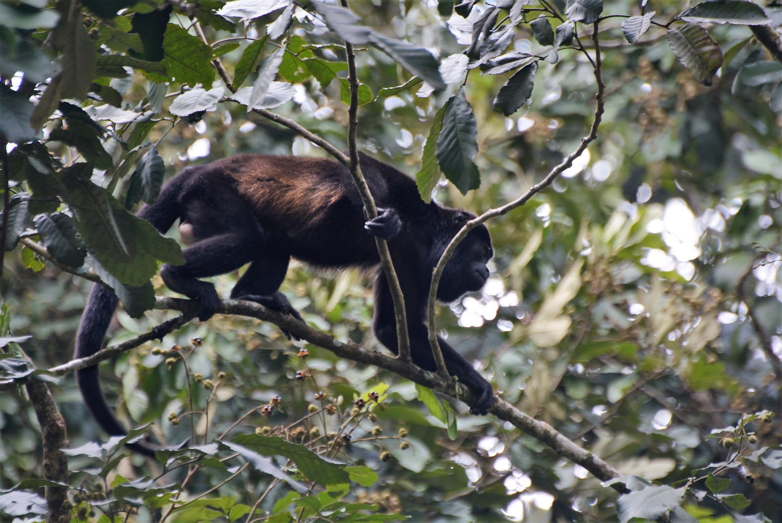 Drew Meyers Photography