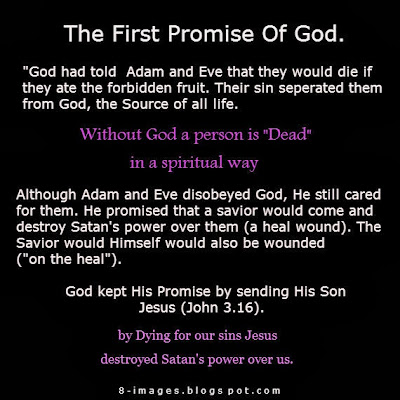 The First Ever Promise Of God made to mankind. - Quotes