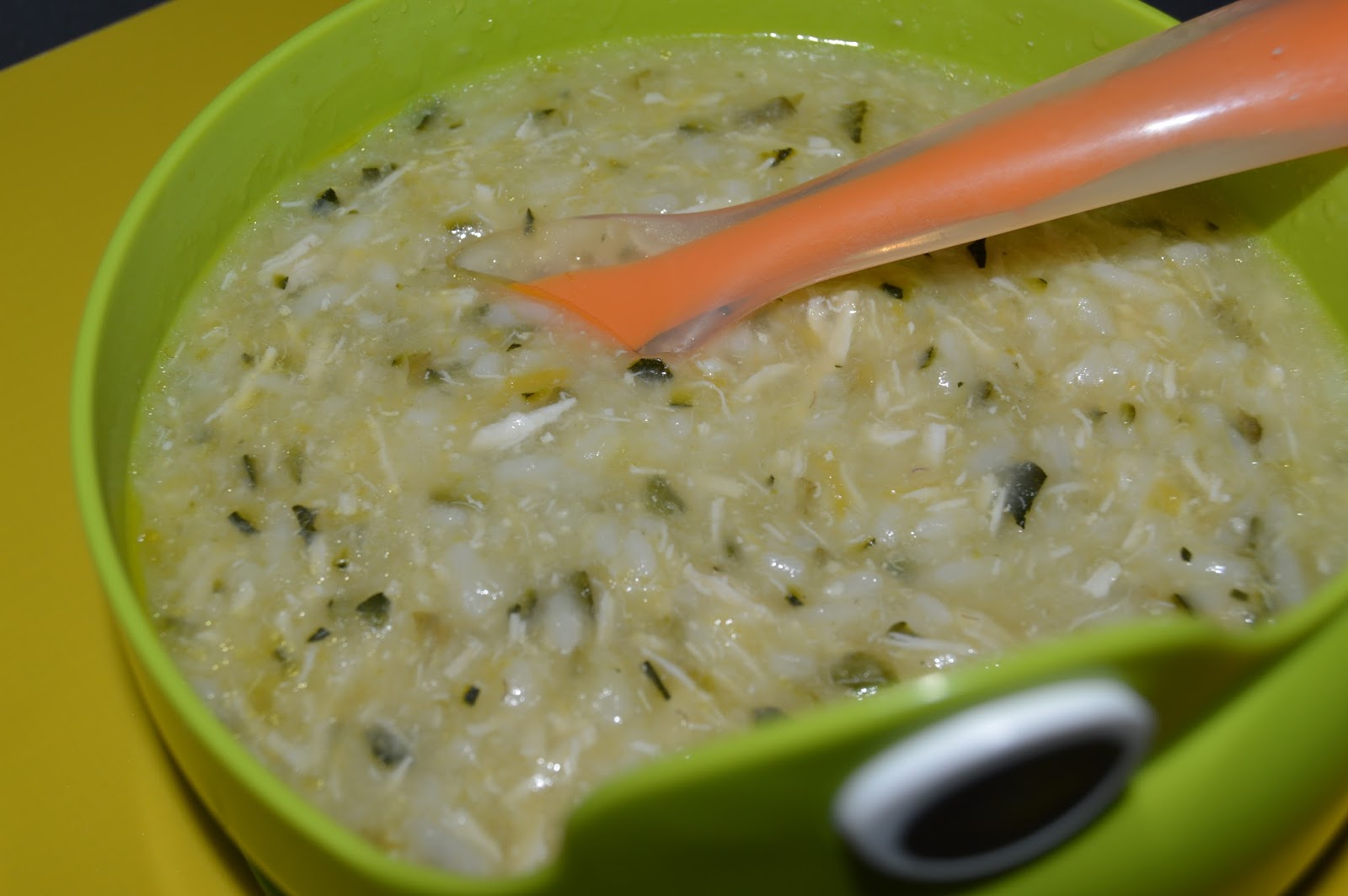 bimby-sabores-da-vida-arroz-de-frango-beb