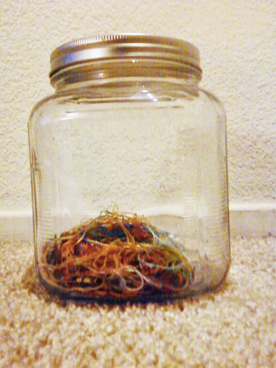 Teenage Cross Stitcher