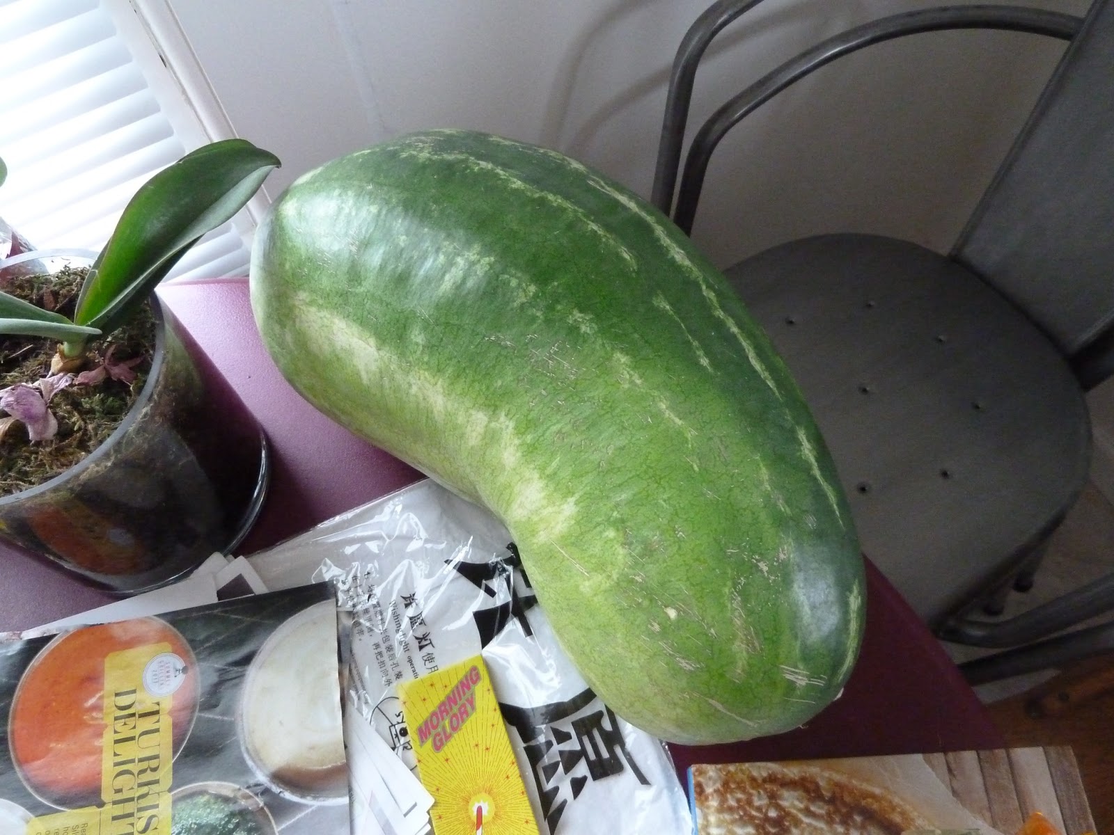 Weird Eyes: Dead Watermelons, Dead Feelings