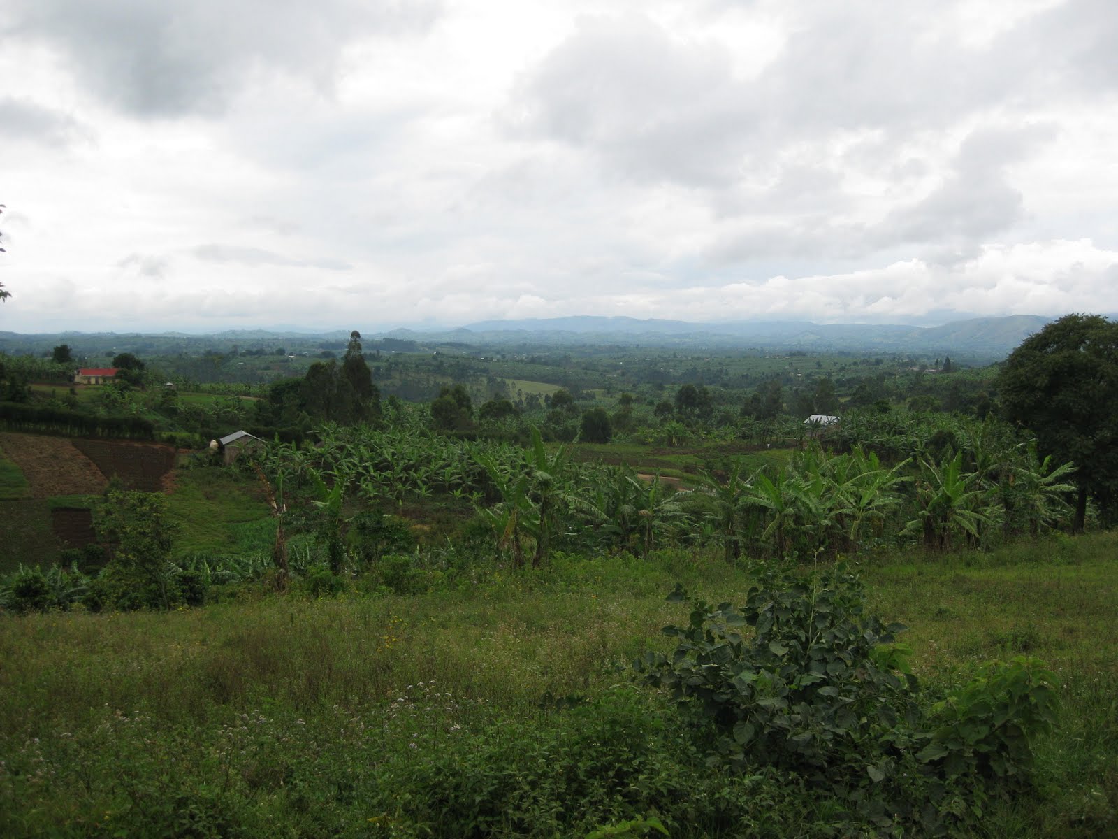 David and Beth in Uganda