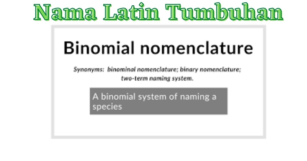 1001+ Nama Latin Tumbuhan Tanaman Hias - Sindang Hilir