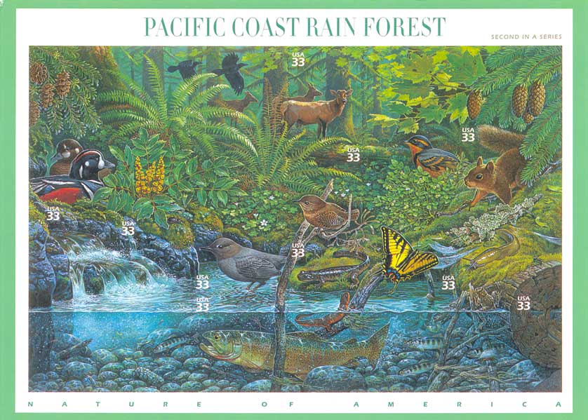 POSTCARDY: the postcard explorer: Pacific Coast Rain Forest Stamps
