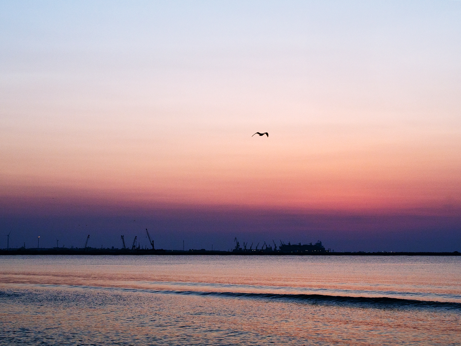 Cristian Rusu Photography: 07/01/2016 - 08/01/2016