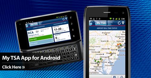 TSA Year to Date Report: A Look at the Year So Far