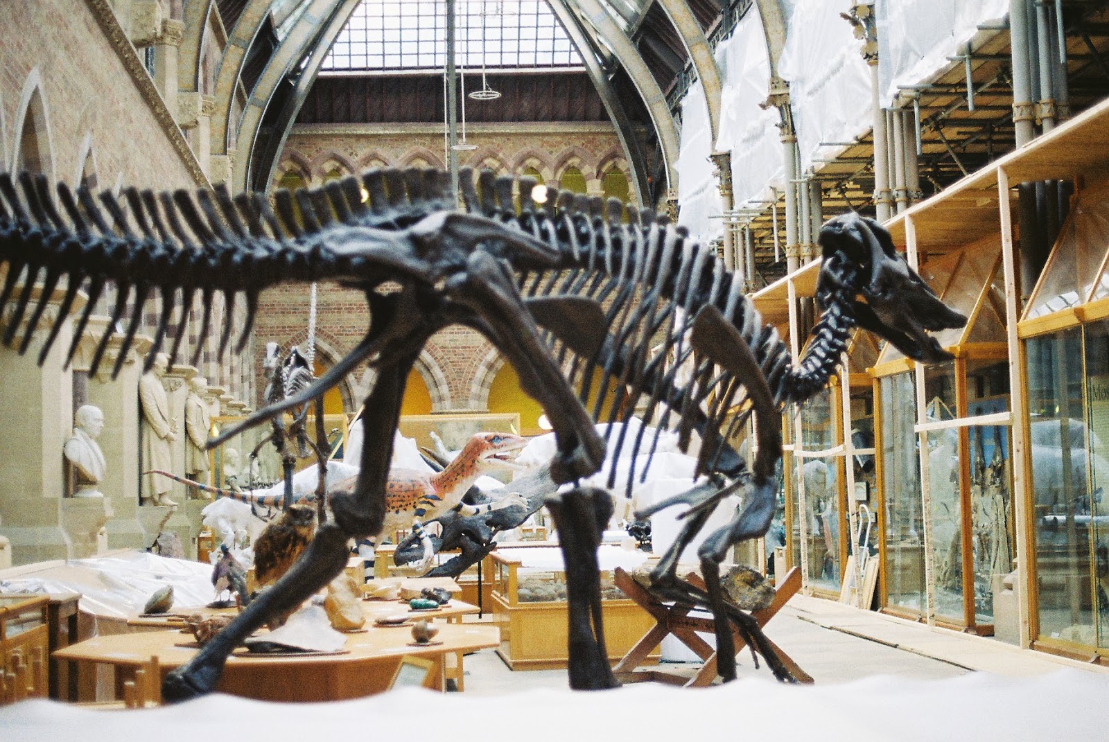 the pitt-rivers museum, oxford, 2013