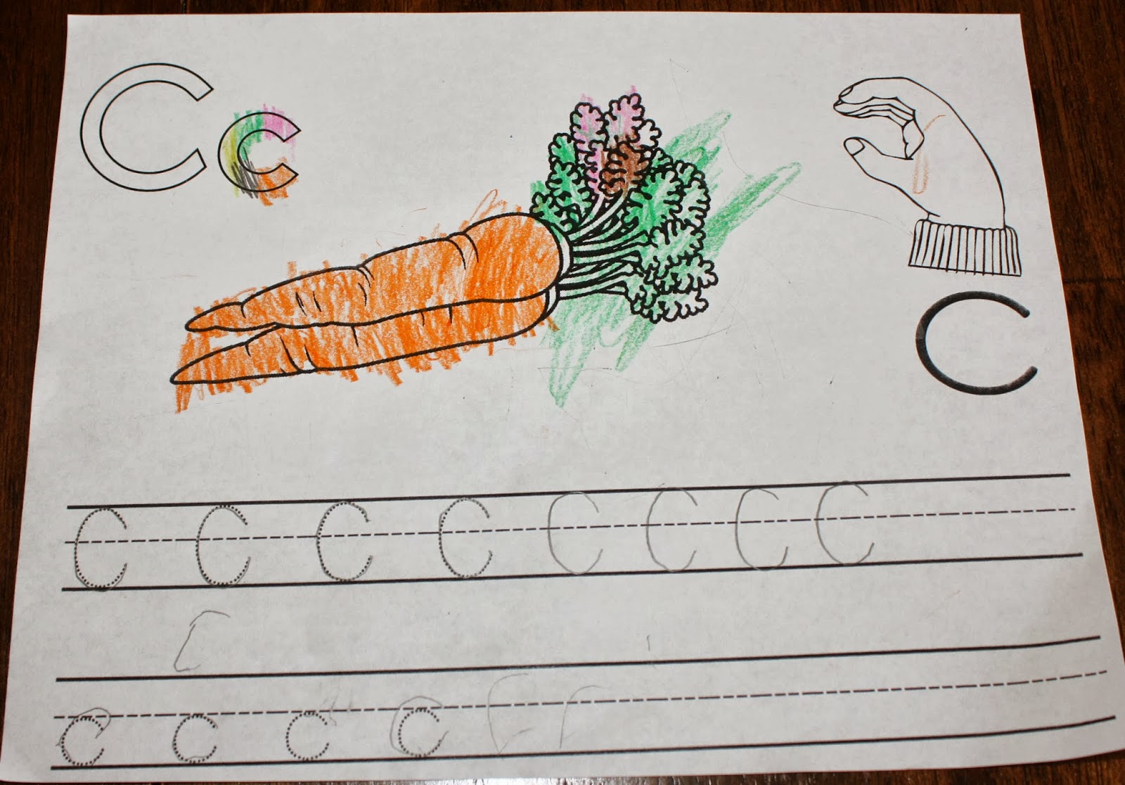 LMNO Preschool: Letter C Week September 23rd-27th