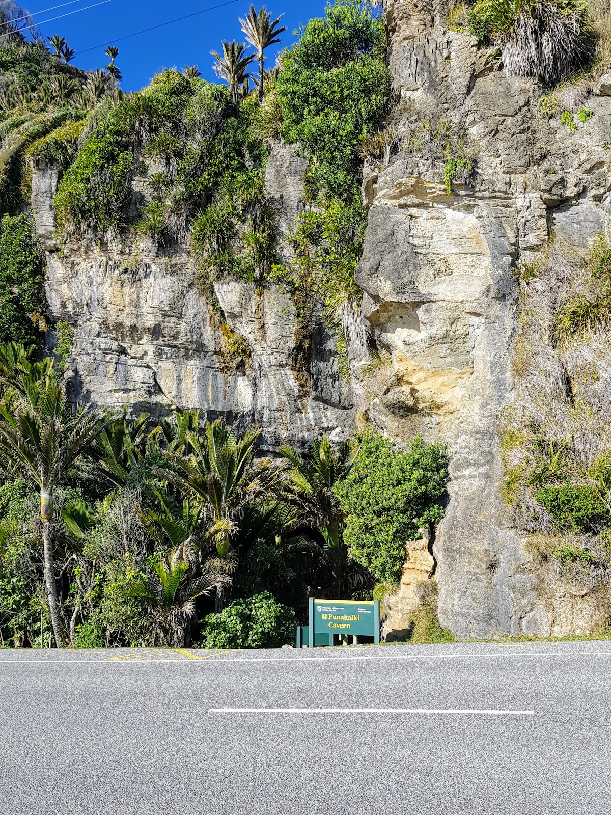 Tramping in the New Zealand backcountry: NZ Bush Adventures: Visiting ...