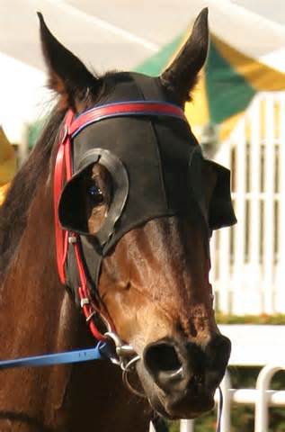 Running The Race: Blinders