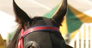 Running The Race: Blinders