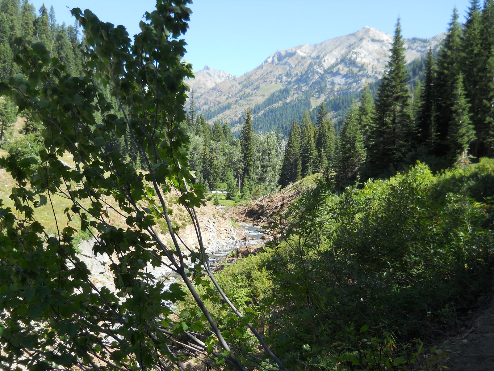 Gordon's Ramblings: Hiking in the Oregon Alps