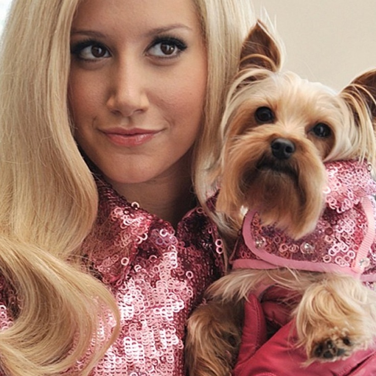 Patricinhas Queens: Como ser Sharpay Evans?