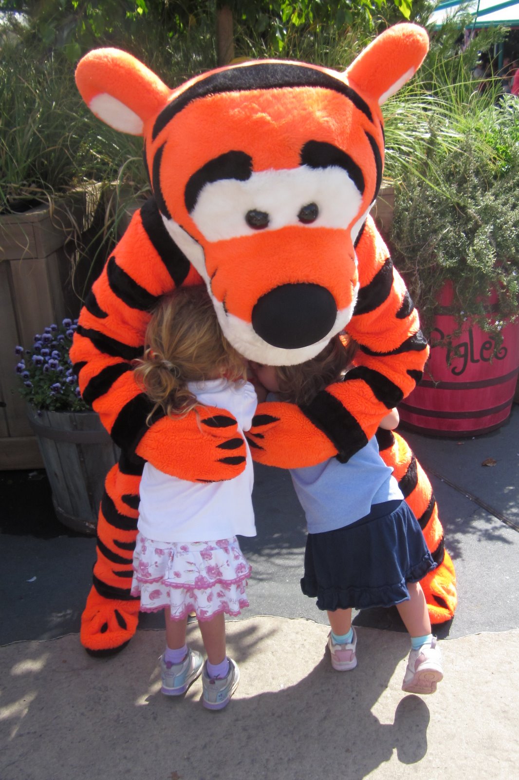 Victoria's Blessings: Tigger and Pooh