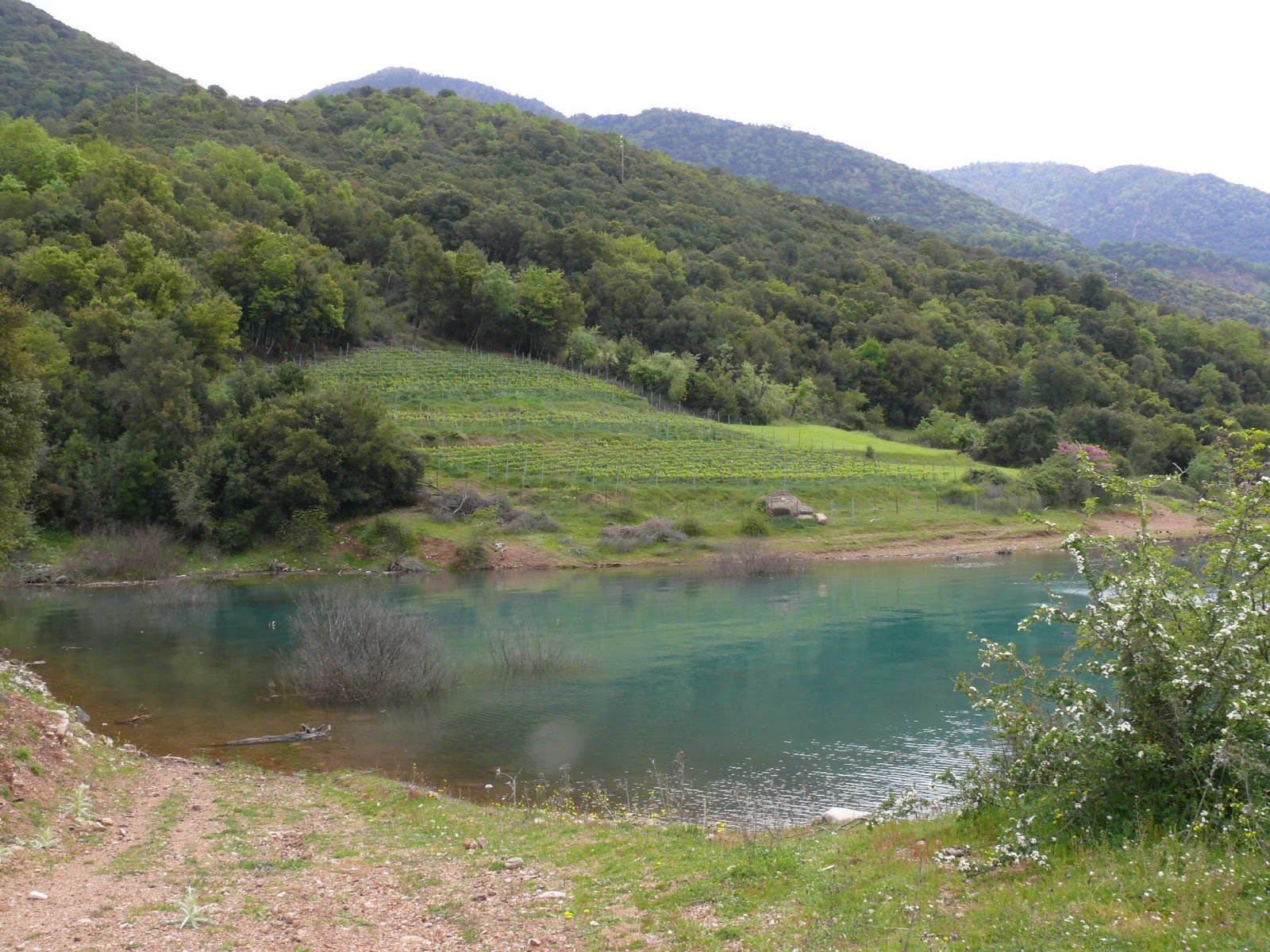 Η δική μου Ευρυτανία...