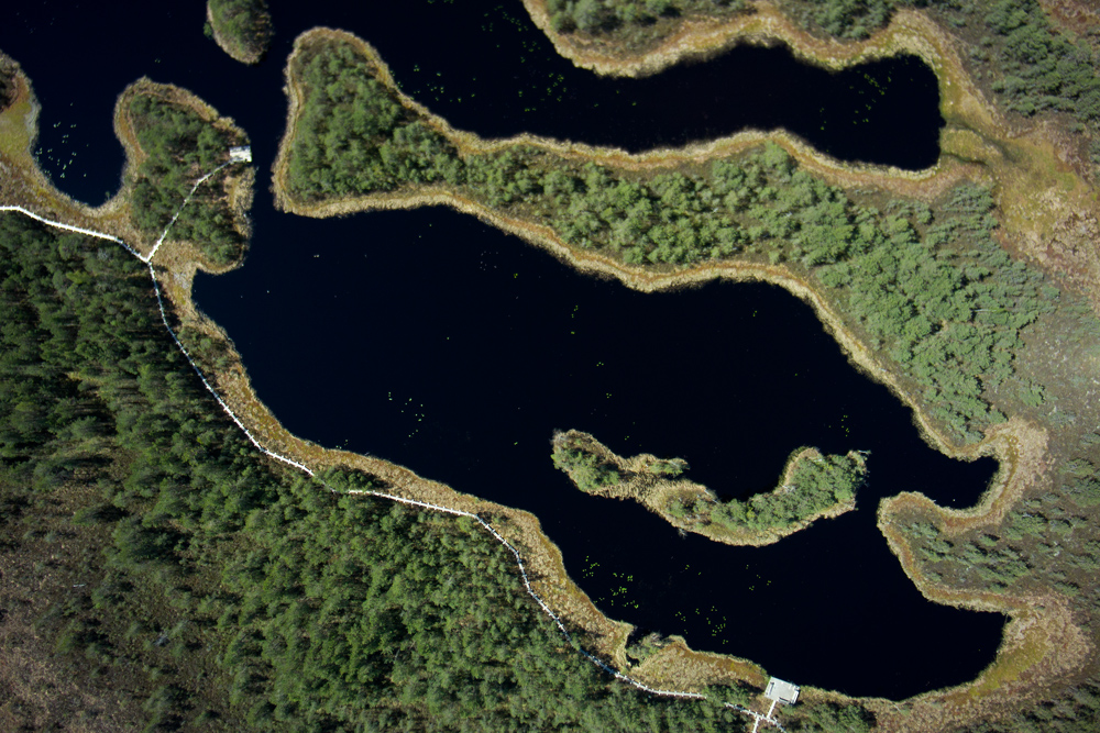 - Paranull -: Mukri raba.