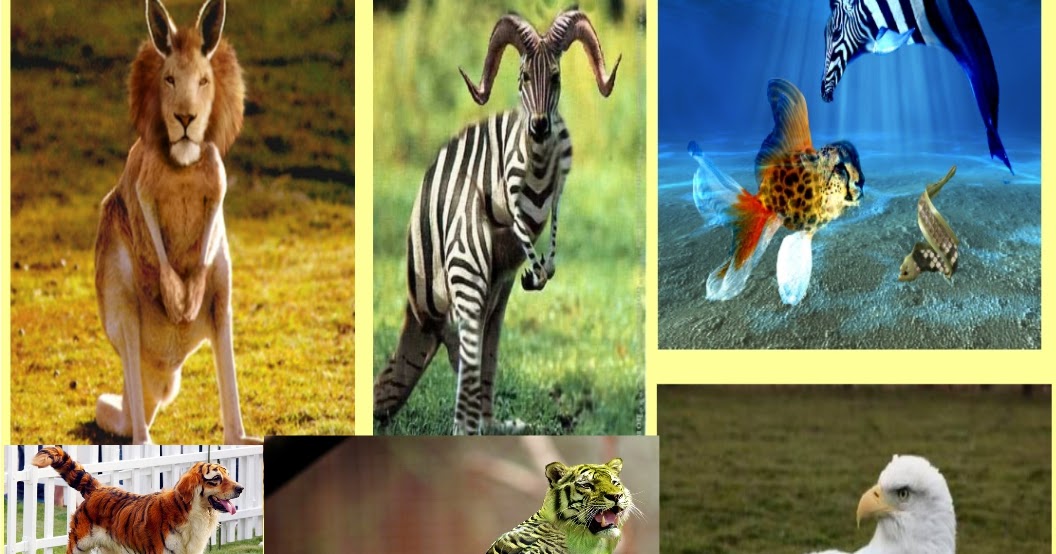 The Best of Teacher Entrepreneurs III: "Create a Critter" Free Fun ...