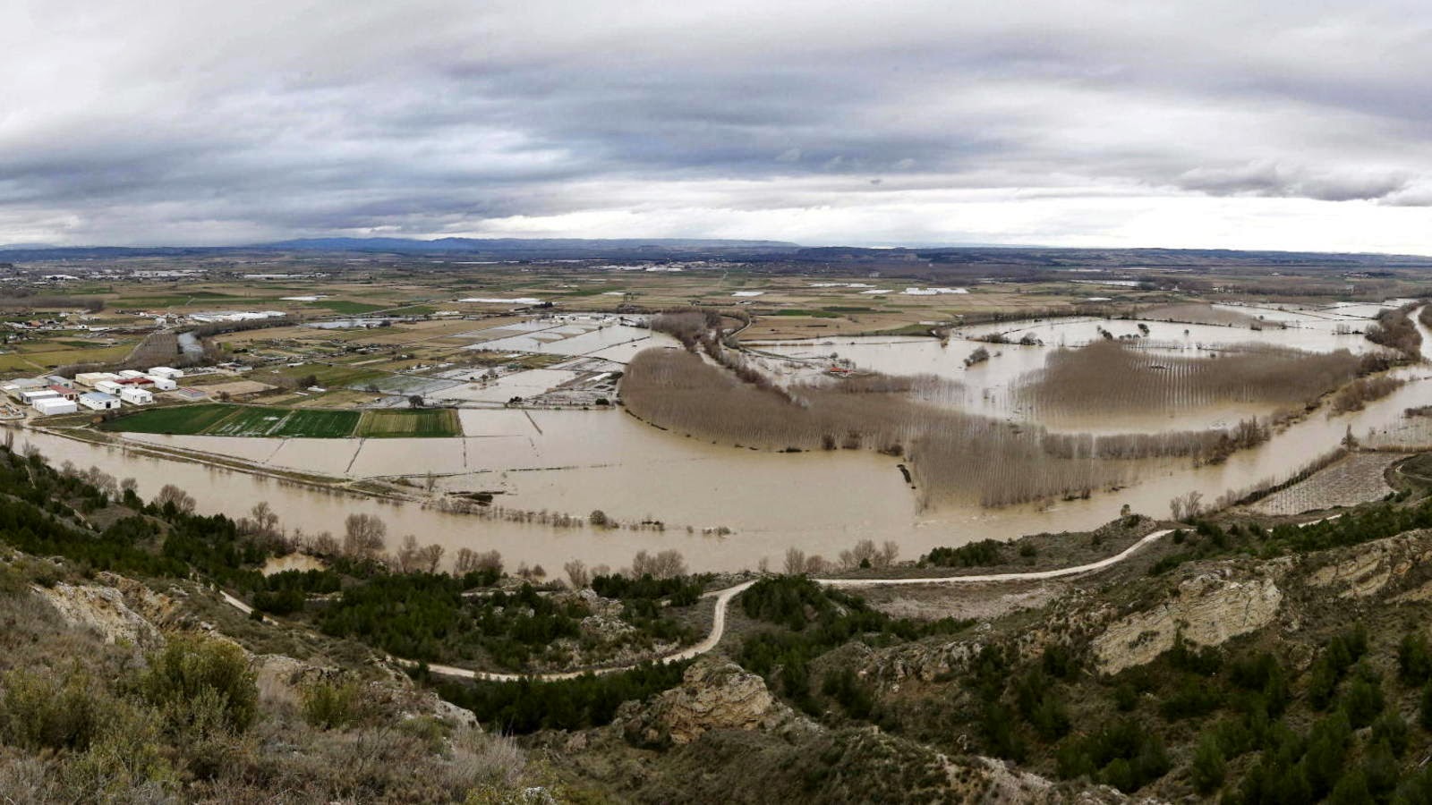 BIÓLOGO Y BECARIO: Llanura aluvial
