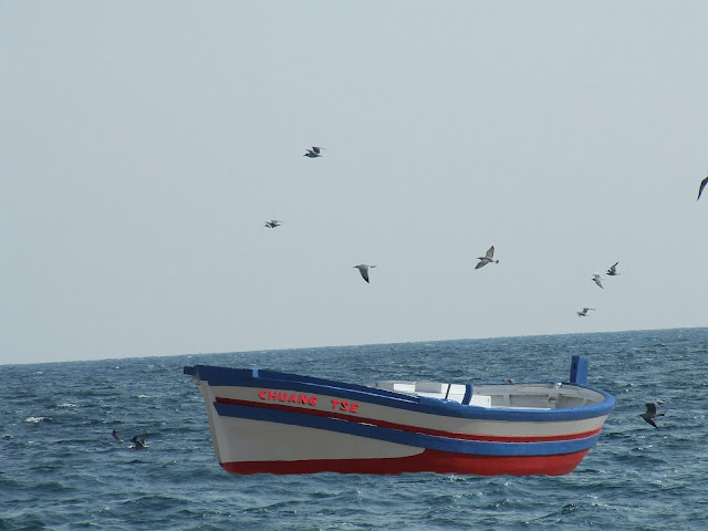 OSHO EL EGO: ¡¡¡ COMO PUEDEN LAS ESCRITURAS CONVERTIRSE EN BOTES