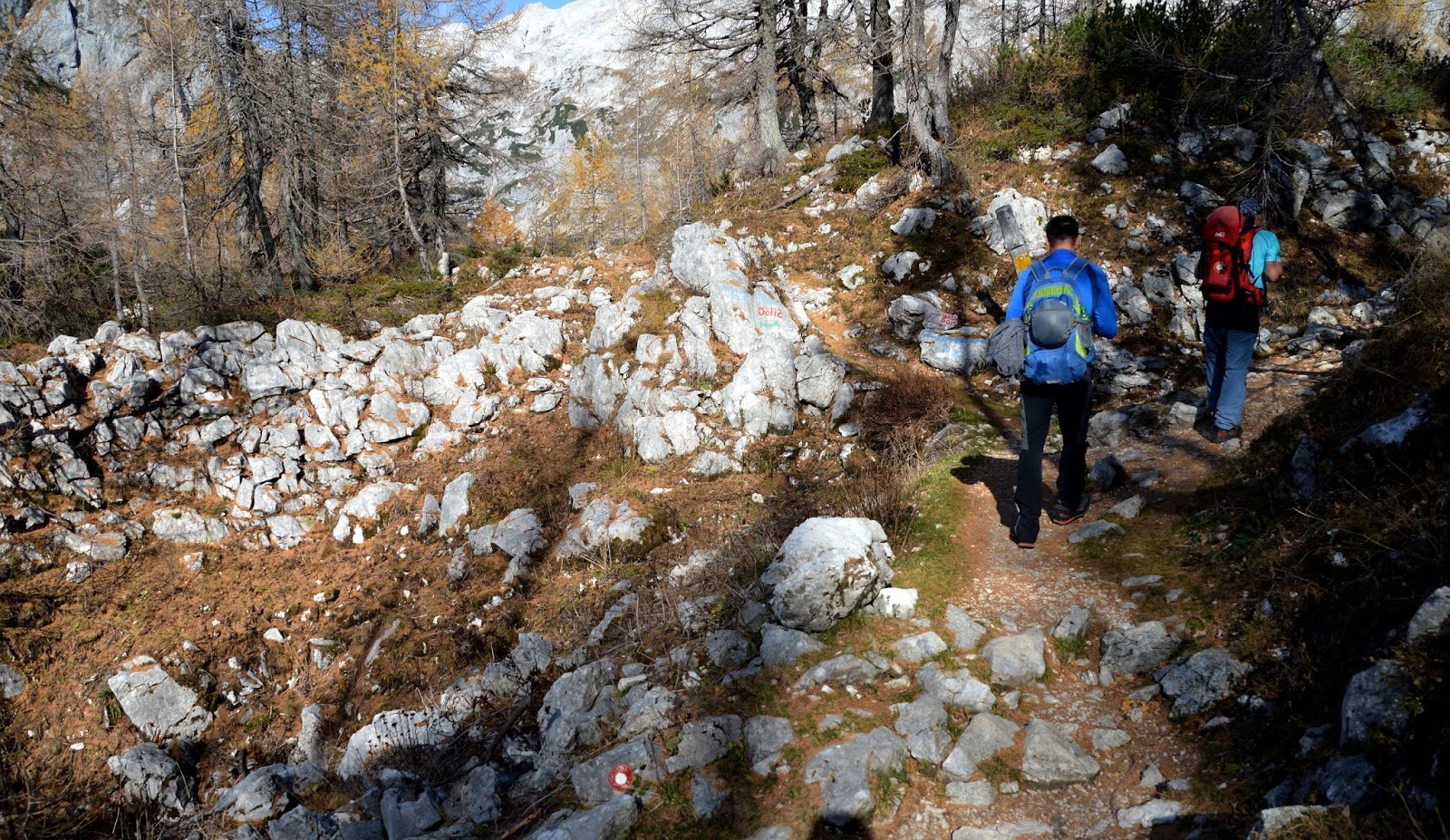 Ljepote planina: Triglav - staza, Rudno polje - Vodnikov dom - Planika ...