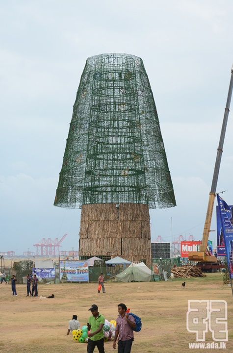 Work on the tallest Christmas tree nearing completion