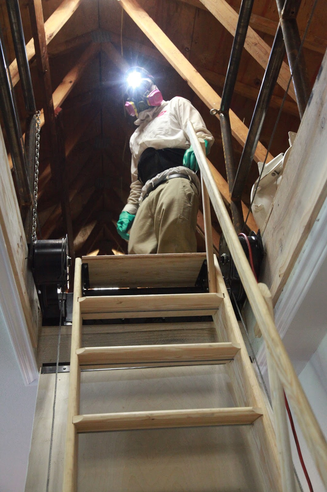 Insects in the City: Tips for your elevator speech