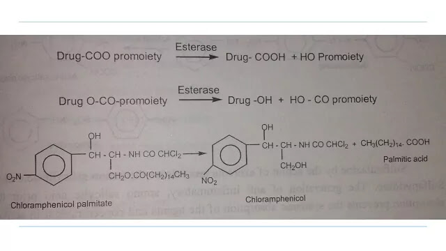 Classification Of Prodrug.