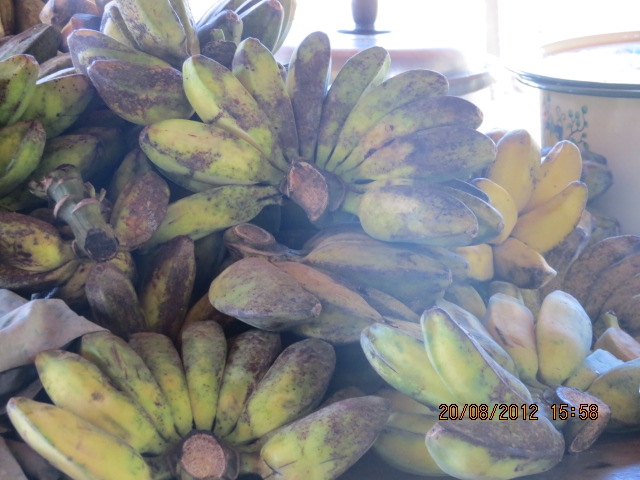 warna warni hidupku..............: Pisang Goreng tentunya Pisang Sabah