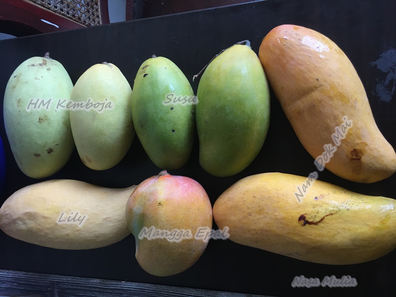 warna warni hidupku..............: Mangga oh Mangga