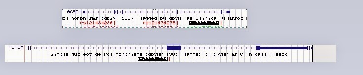 Human Perceptron: ACADM gene and it's disease