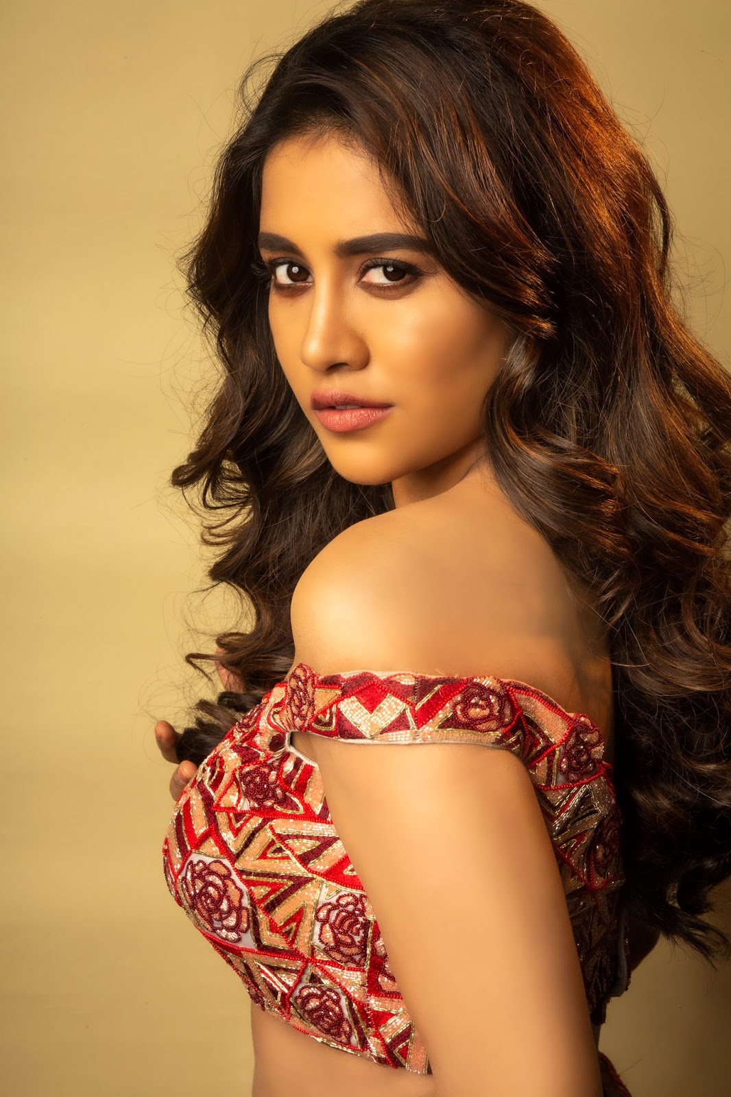 Nabha Natesh Latest Photoshoot Stills.