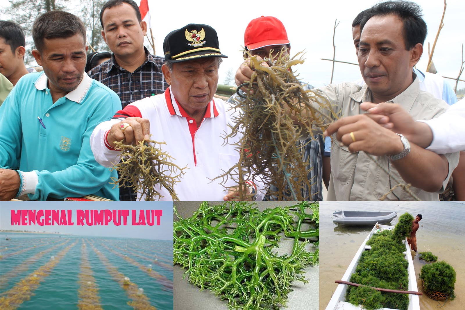 Sahabat semua yang saya Cintai,..Postingan ini saya akan membicarakan ...