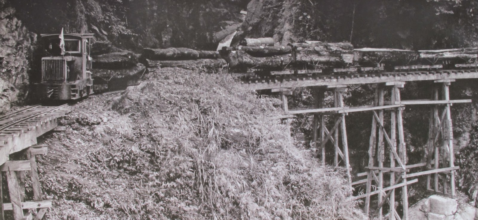 Taiwan: The Bradt Travel Guide: The old logging village of Lintianshan
